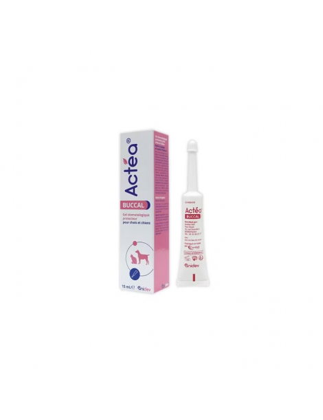 Actéa Buccal Gel pour Renforcer les Gencives du Chien et du Chat