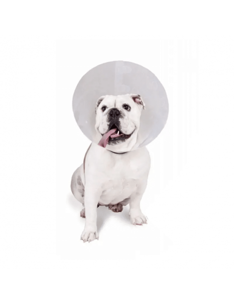 Colerette pour Chien Carcan Buster Classic Opaque UU
