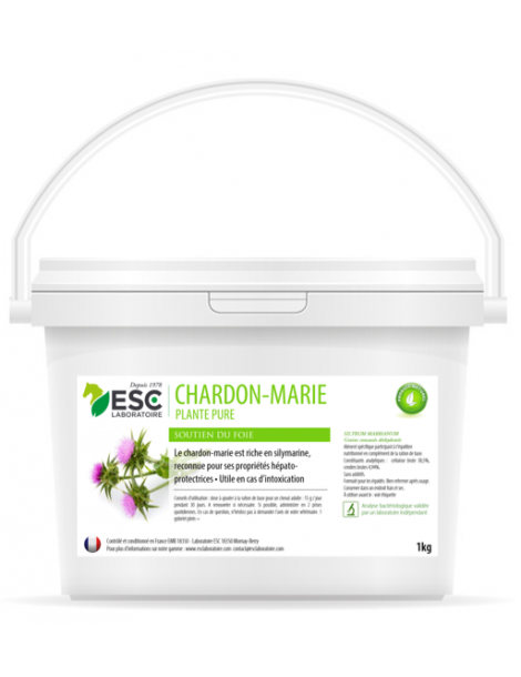 Chardon-Marie - Bienfaits Hépato-Protecteurs pour Chevaux